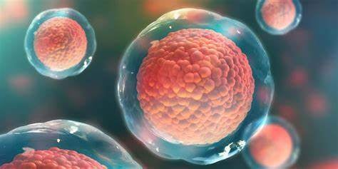 Cell and Gene | Custom Automation Systems | 3P Innovation